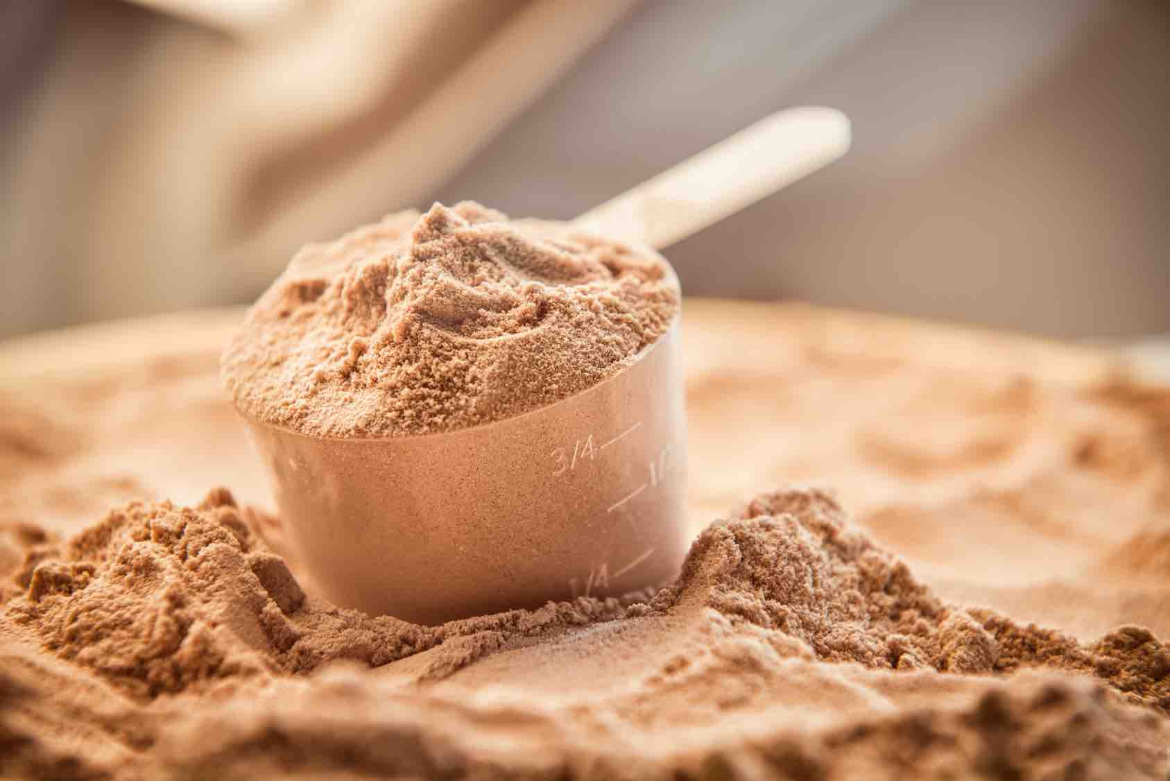 What Types of Protein Powder Should You Use? – Equip